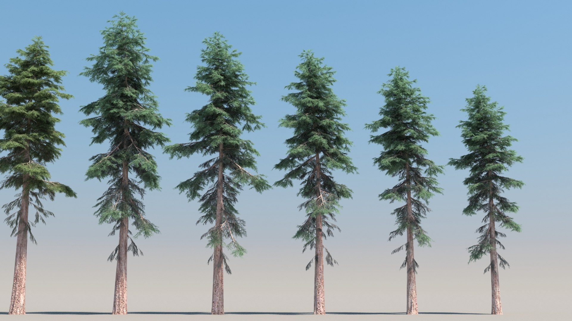 10 Cedar Trees 3D Model | 1148454 | TurboSquid