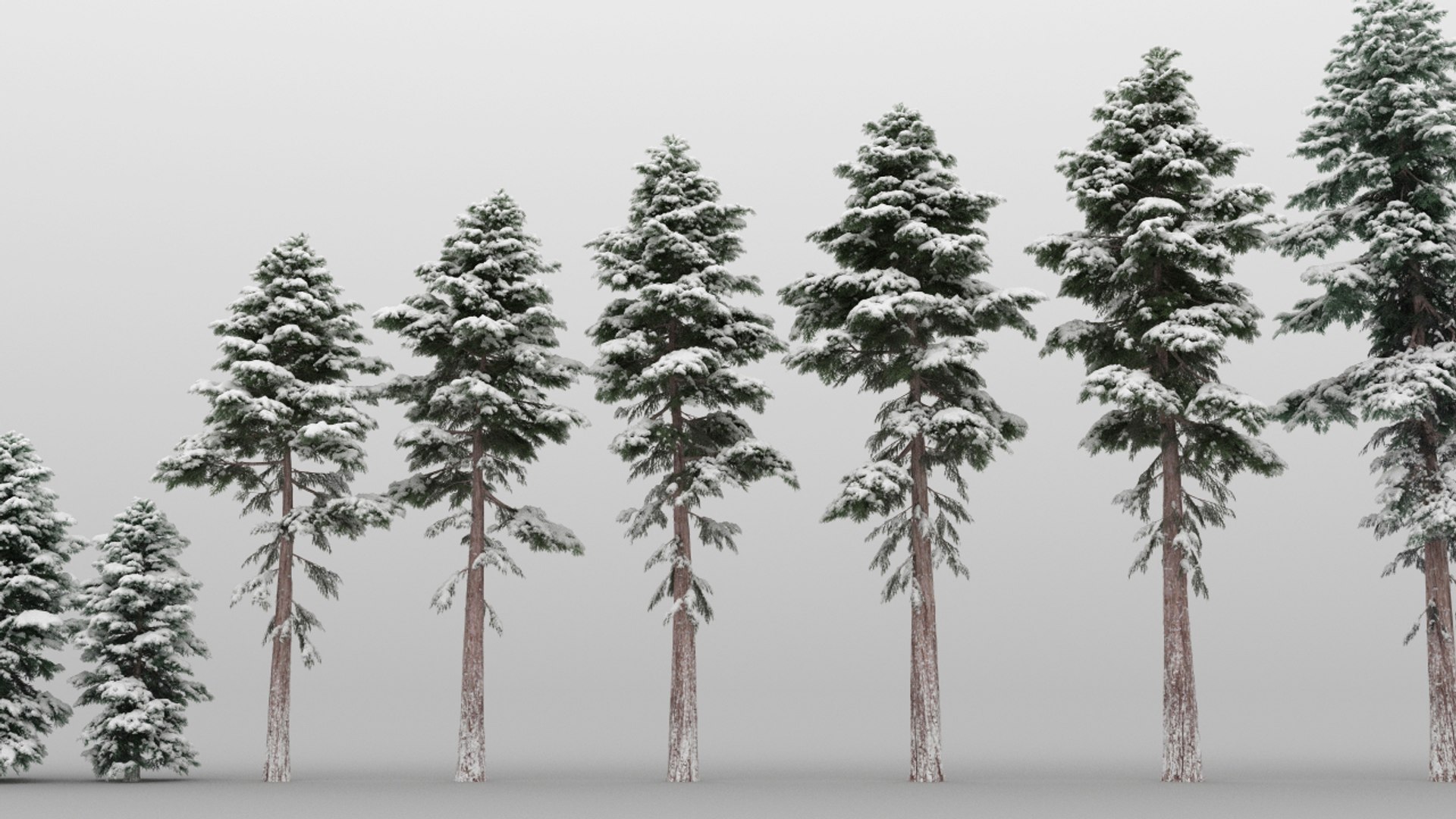 10 Cedar Trees 3D Model | 1148454 | TurboSquid