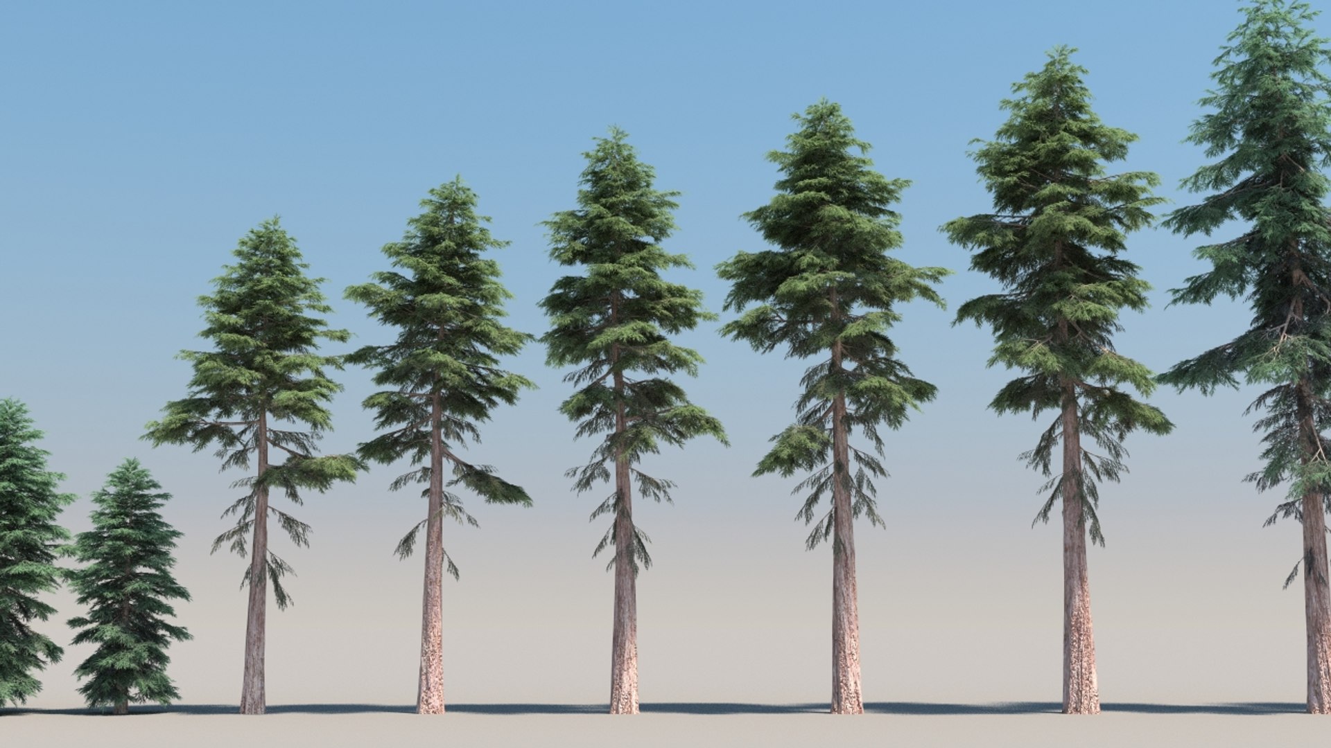 10 Cedar Trees 3D Model | 1148454 | TurboSquid