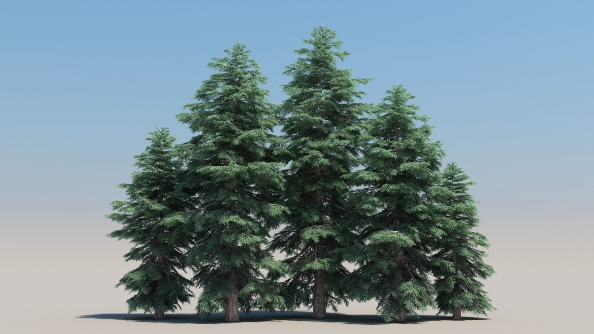 10 cedar trees 3D model | 1148454 | TurboSquid
