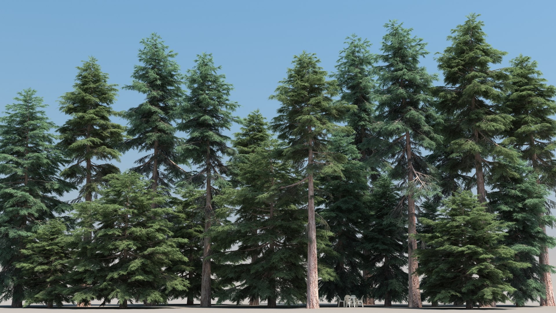 10 Cedar Trees 3D Model | 1148454 | TurboSquid
