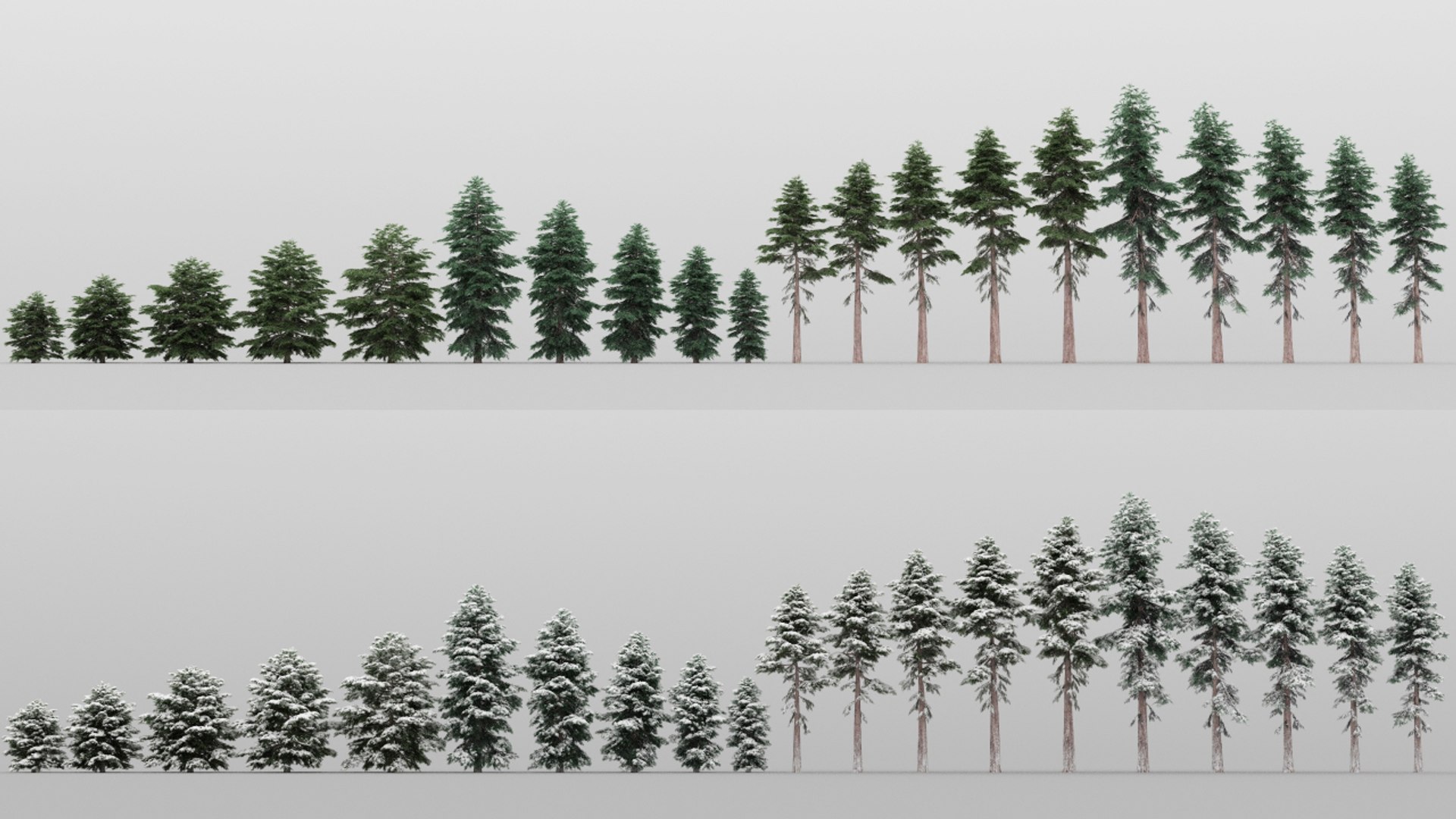 10 Cedar Trees 3D Model | 1148454 | TurboSquid