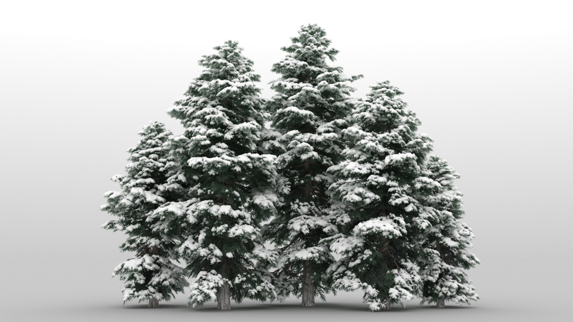 10 cedar trees 3D model | 1148454 | TurboSquid