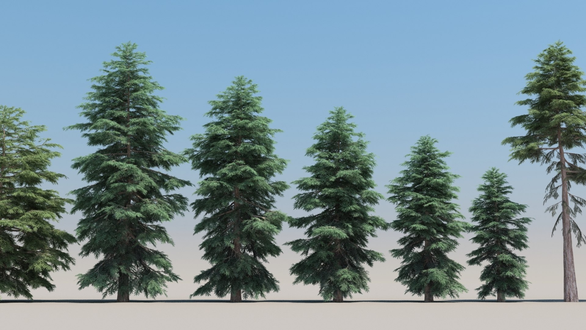 10 Cedar Trees 3D Model | 1148454 | TurboSquid