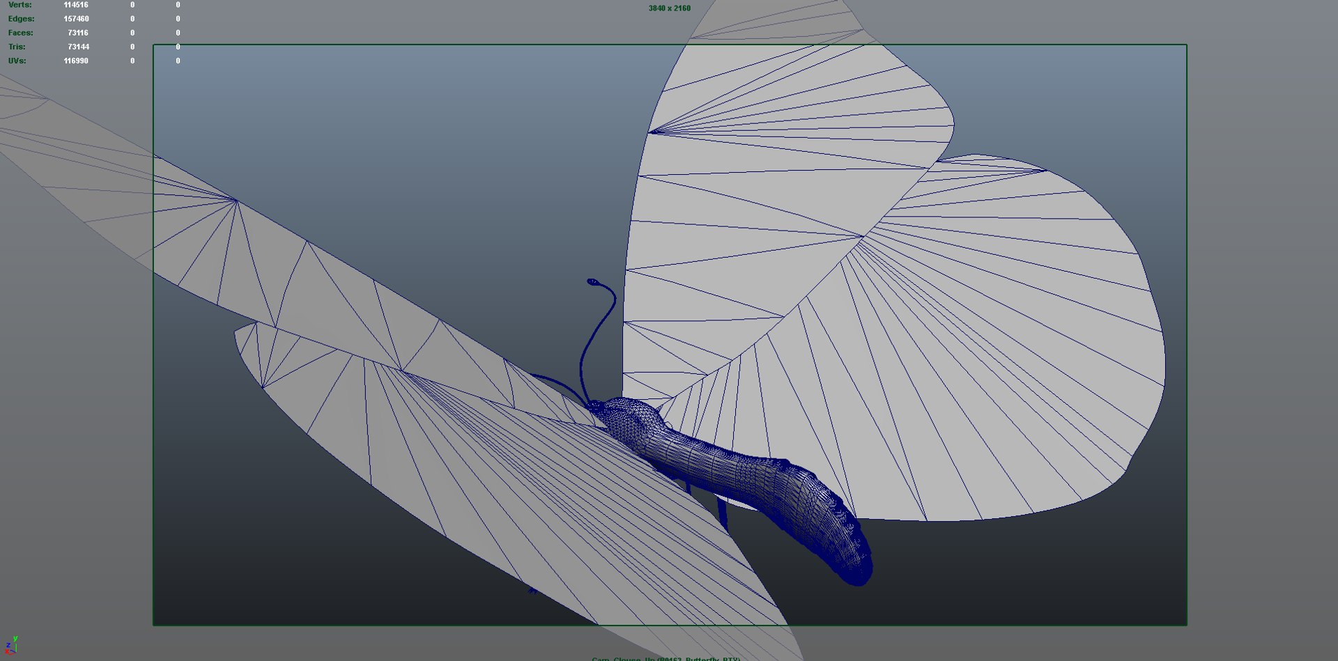 Butterfly 3d Obj
