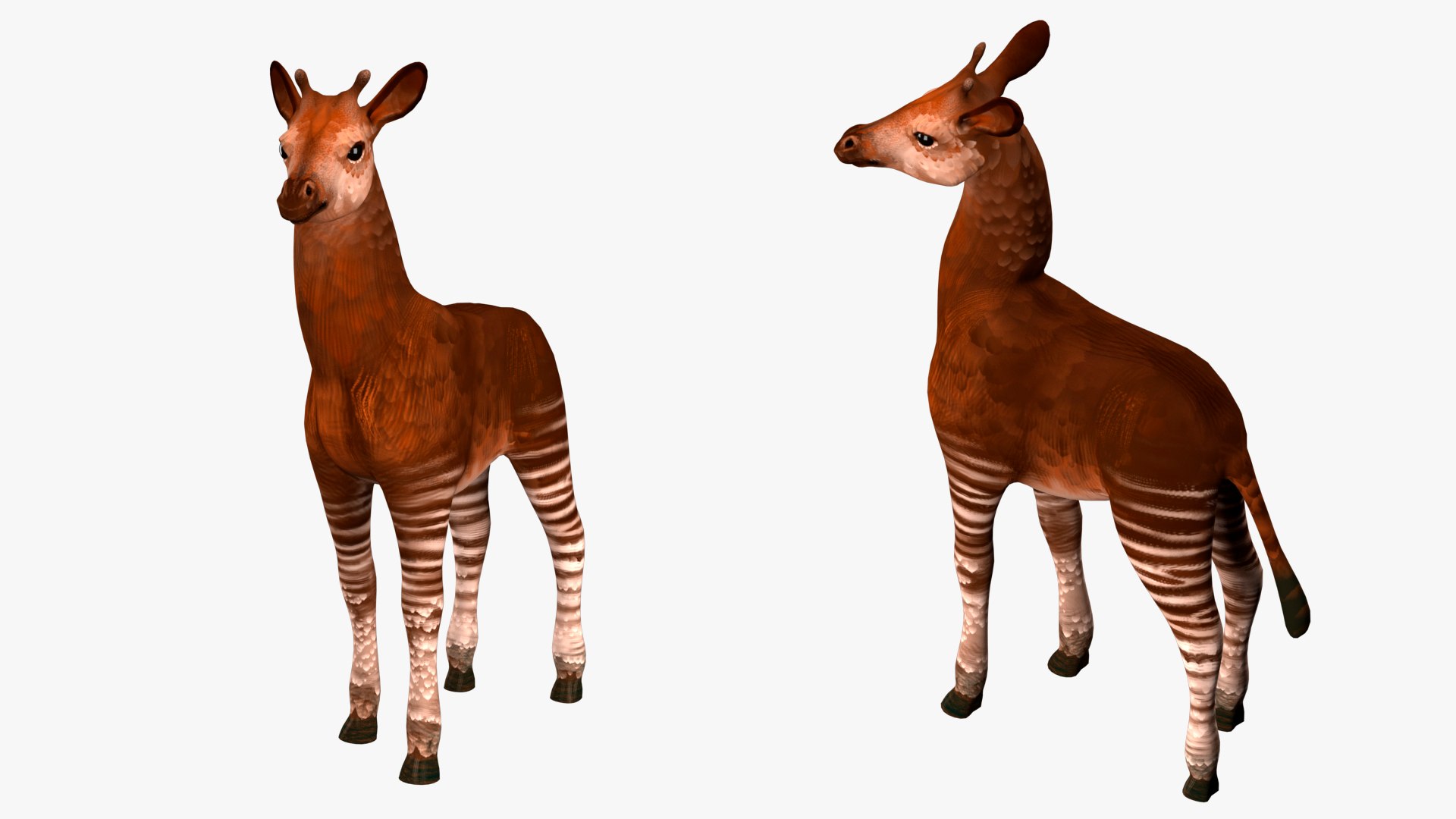 Okapi Rig High-poly Textured Model - TurboSquid 2345270