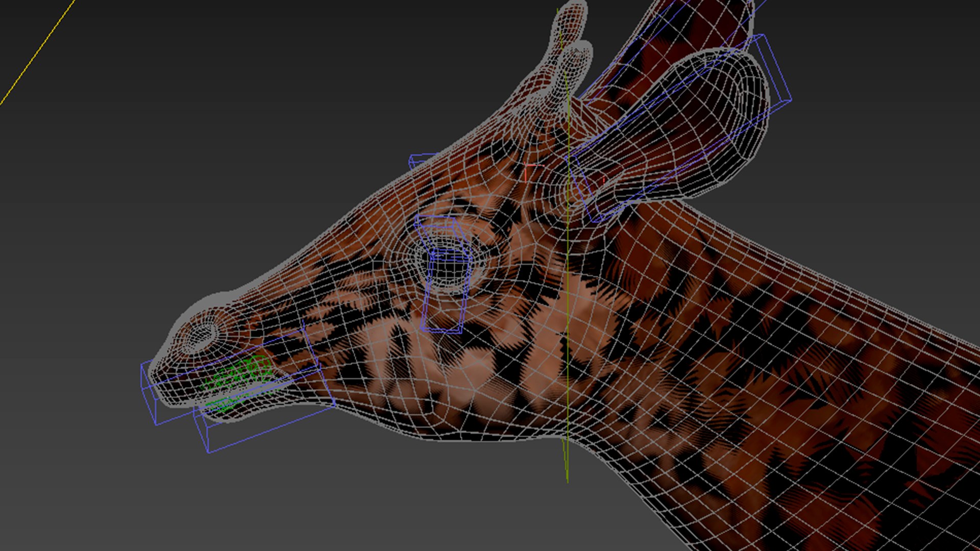 Okapi Rig High-poly Textured Model - TurboSquid 2345270