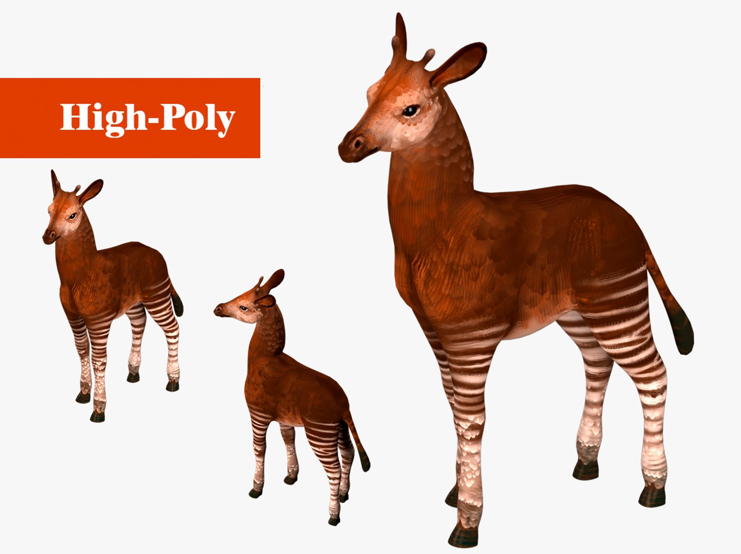 Okapi Rig High-poly Textured Model - TurboSquid 2345270