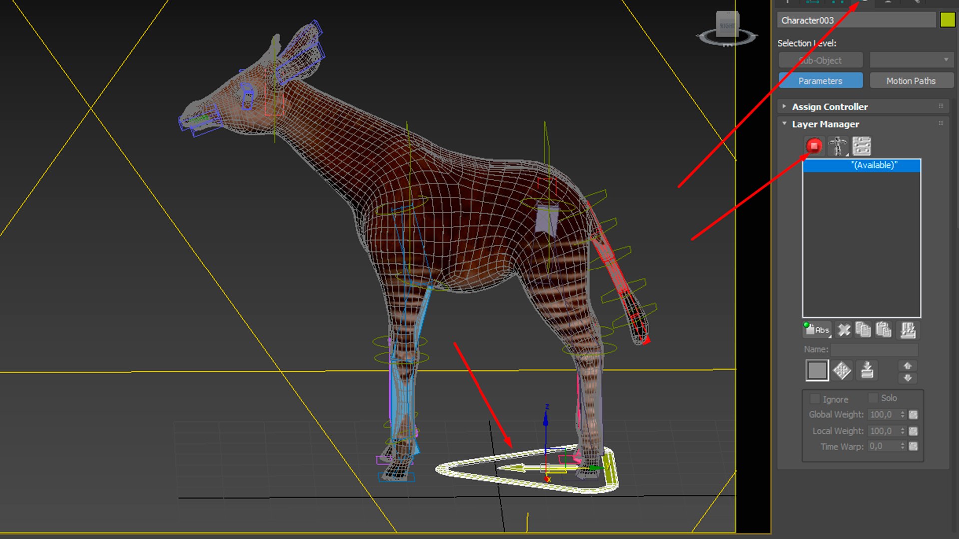 Okapi Rig High-poly Textured Model - TurboSquid 2345270