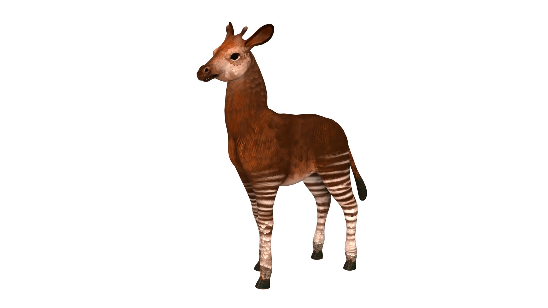 Okapi Rig High-poly Textured Model - TurboSquid 2345270
