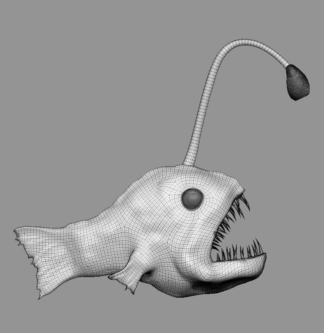 Monster Fish Model - TurboSquid 1394388