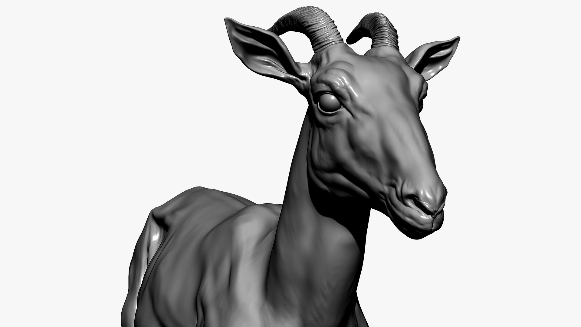 3D Ornatrix Hair Zbrush - TurboSquid 1664226