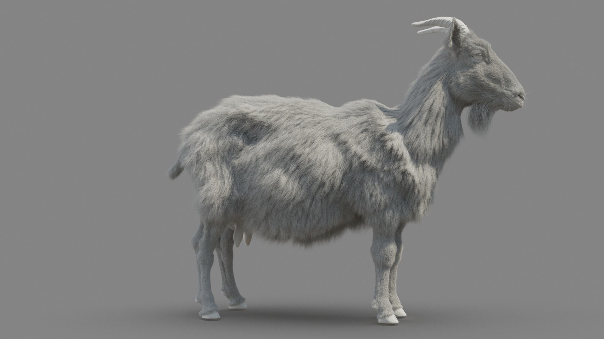 3D Ornatrix Hair Zbrush - TurboSquid 1664226