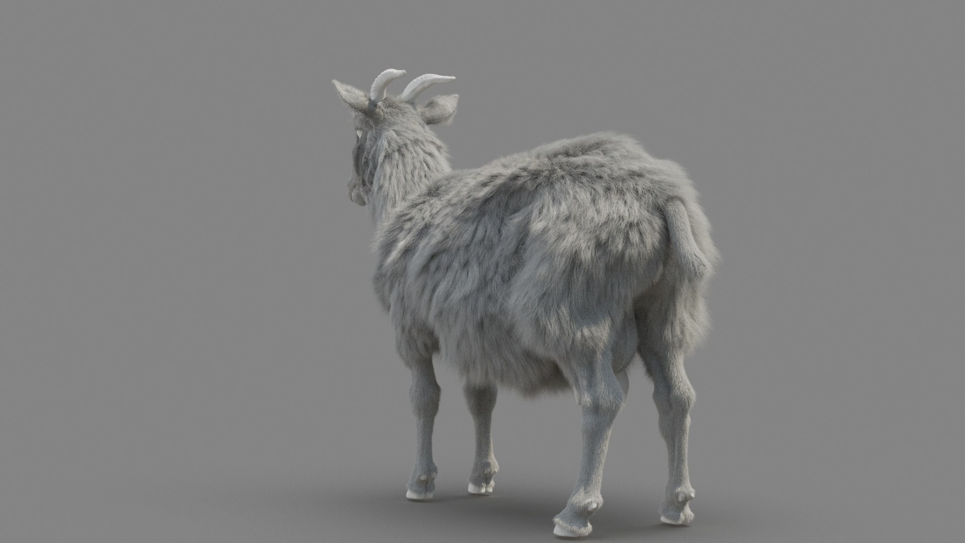 3D Ornatrix Hair Zbrush - TurboSquid 1664226