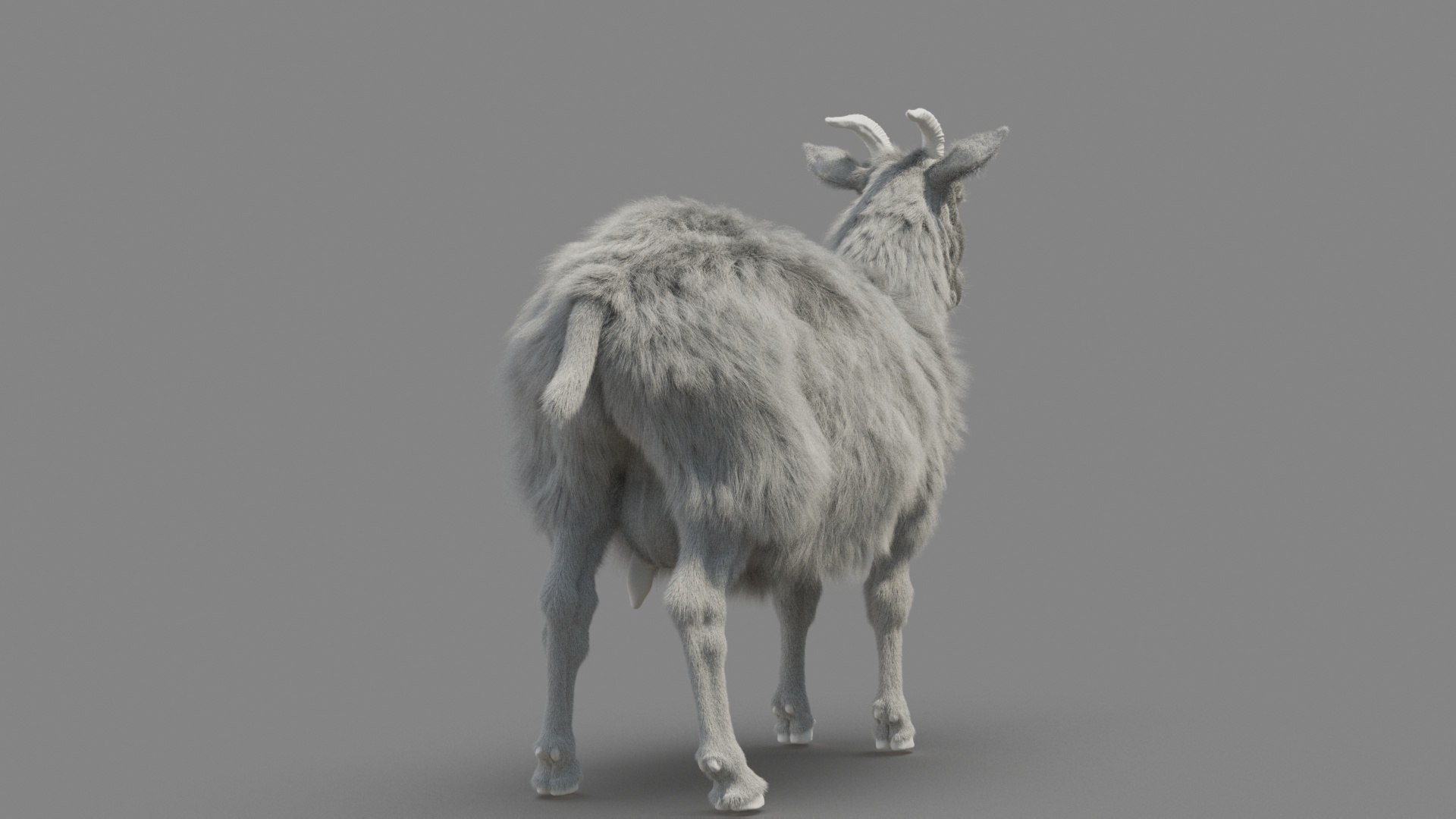 3D Ornatrix Hair Zbrush - TurboSquid 1664226