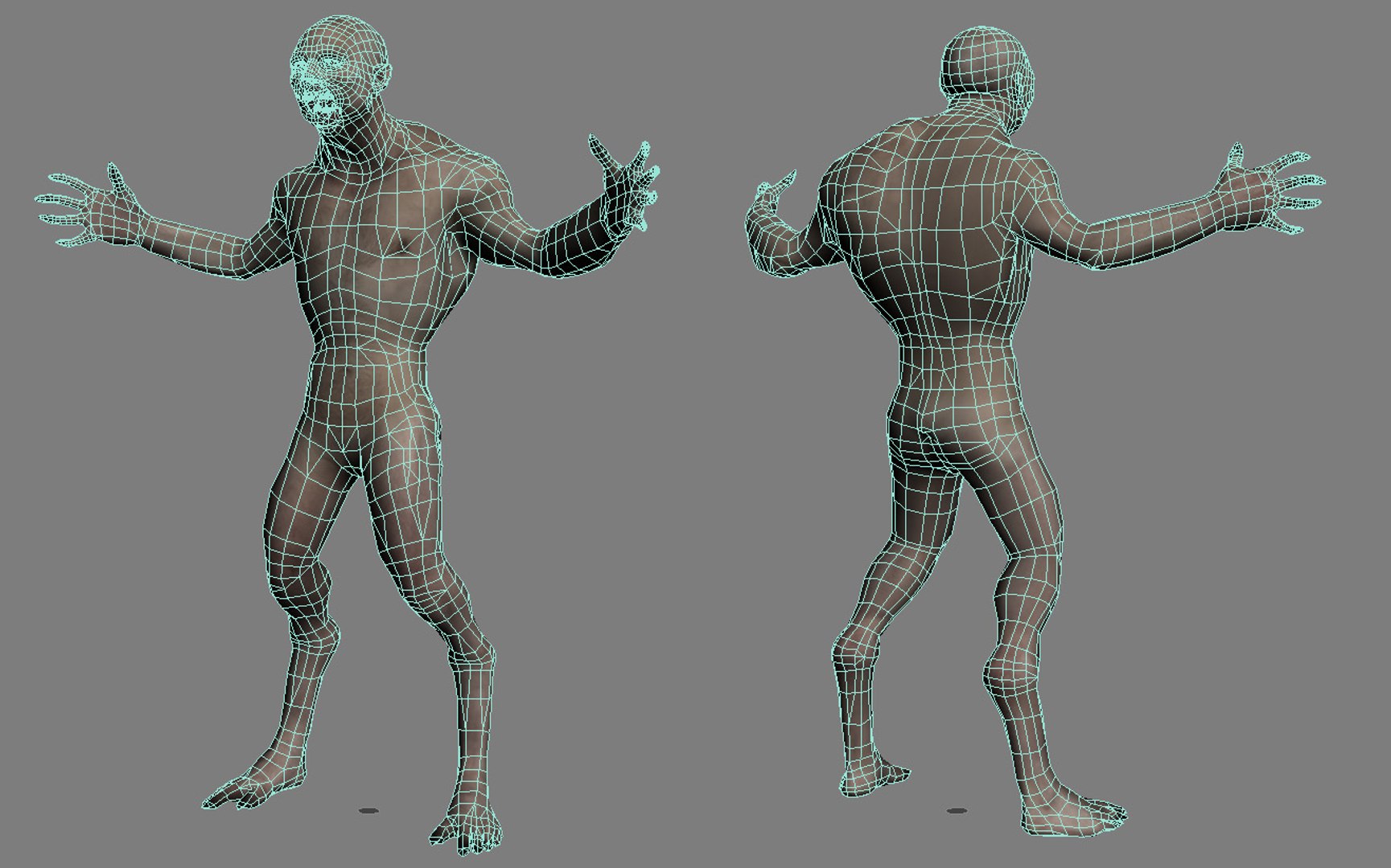 3d Professional Monster Normal
