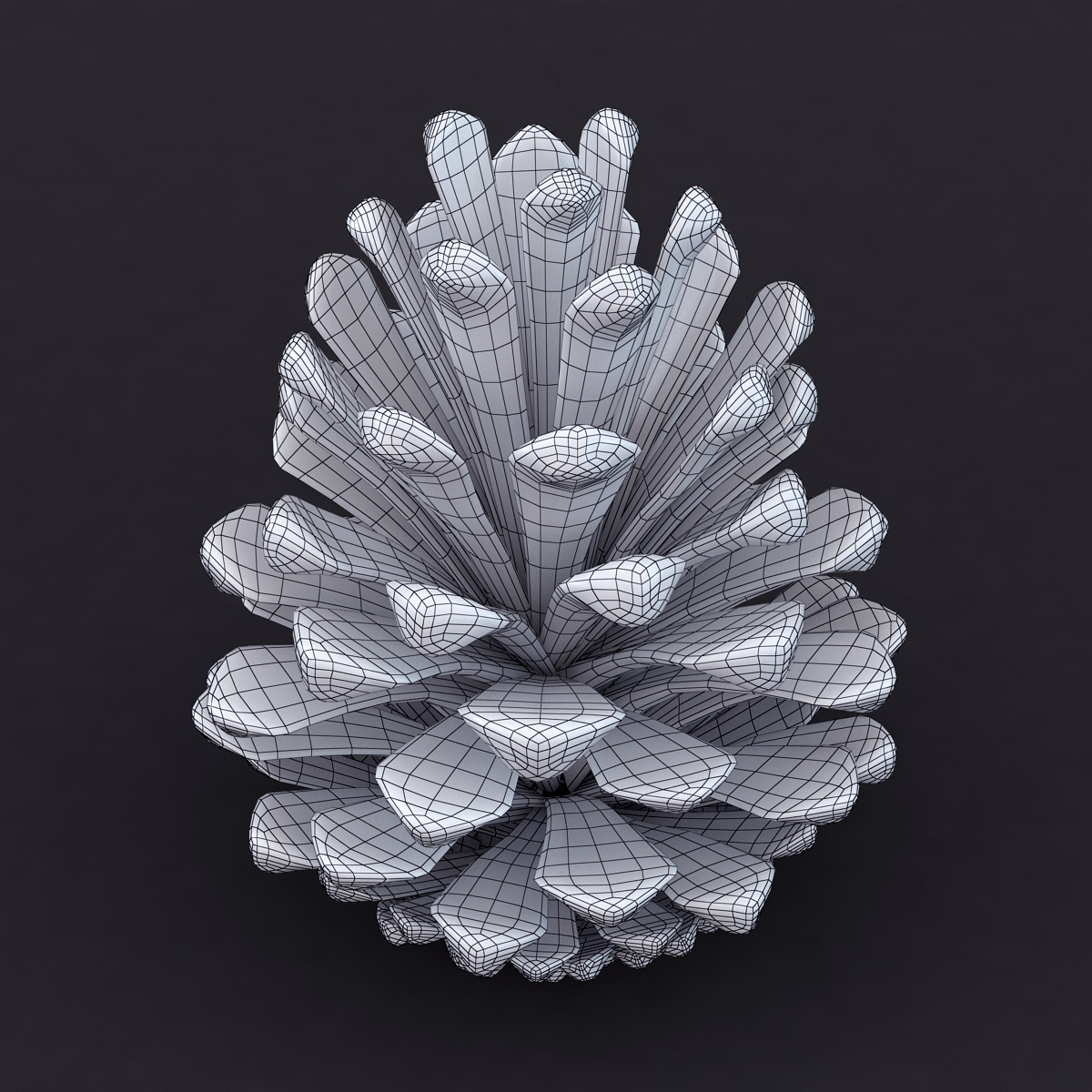 Cone print 3D model - TurboSquid 1219226