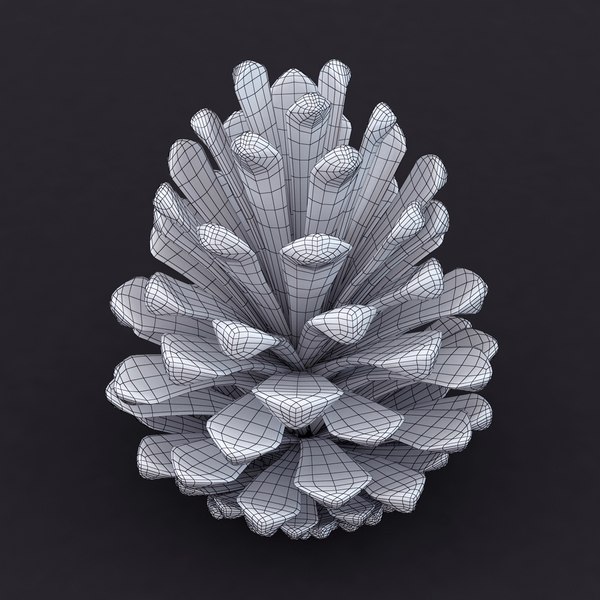 Cone print 3D model - TurboSquid 1219226