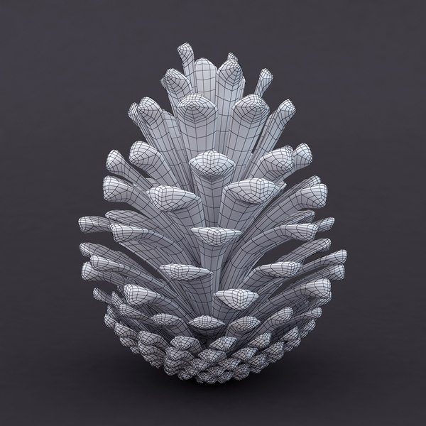 Cone print 3D model - TurboSquid 1219226