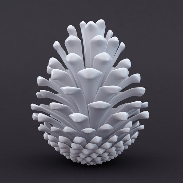 Cone print 3D model - TurboSquid 1219226