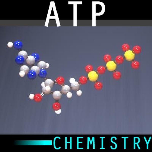 molecule atp 3d model