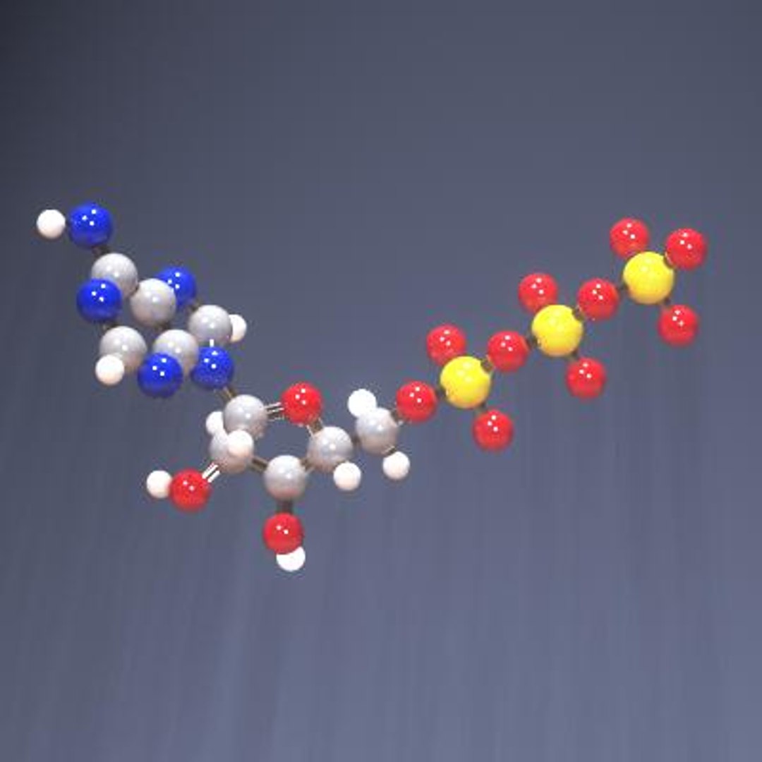 Molecule Atp 3d Model