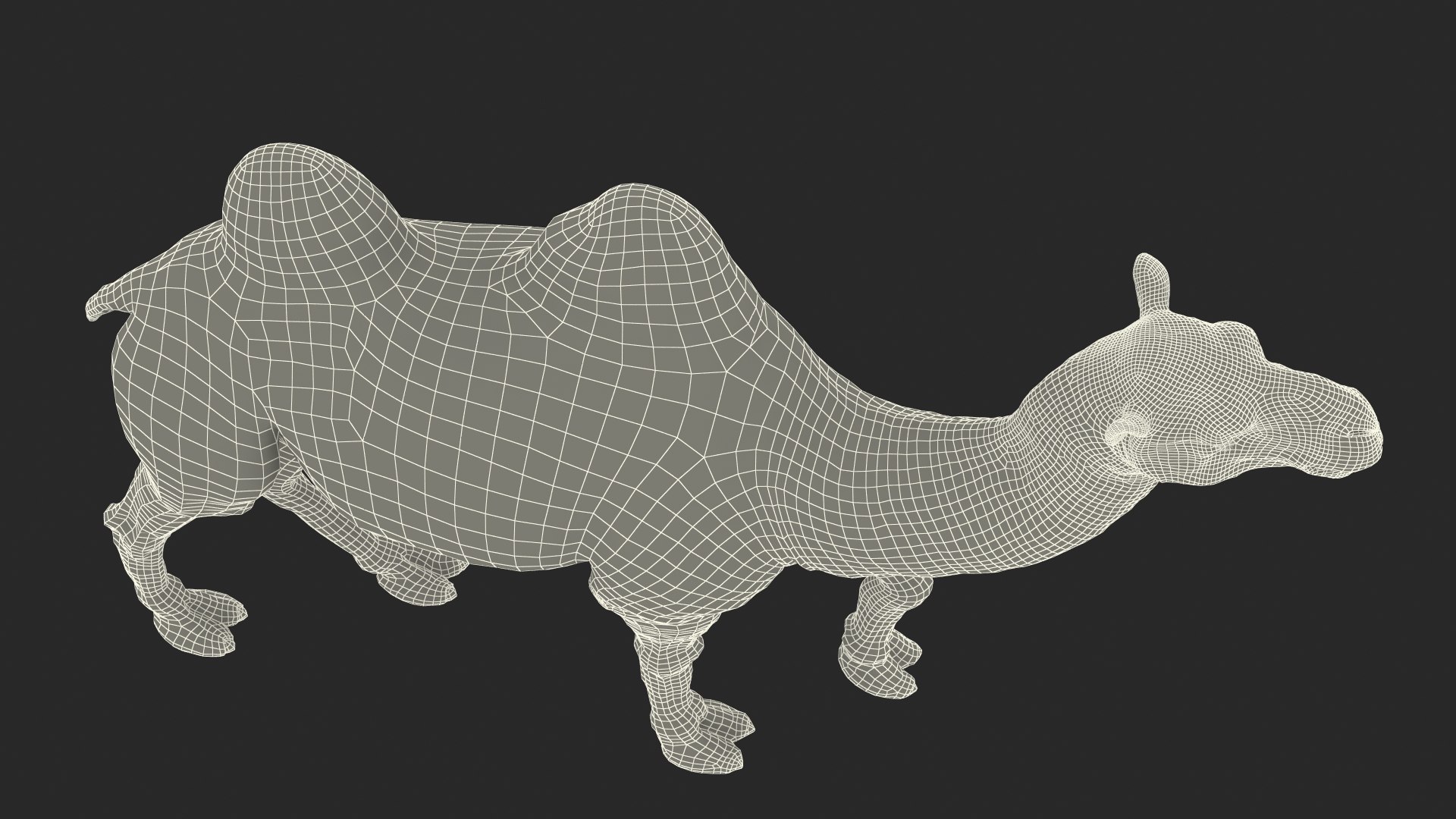 3D Bactrian Camel Light Colored Walking Pose - TurboSquid 2272804