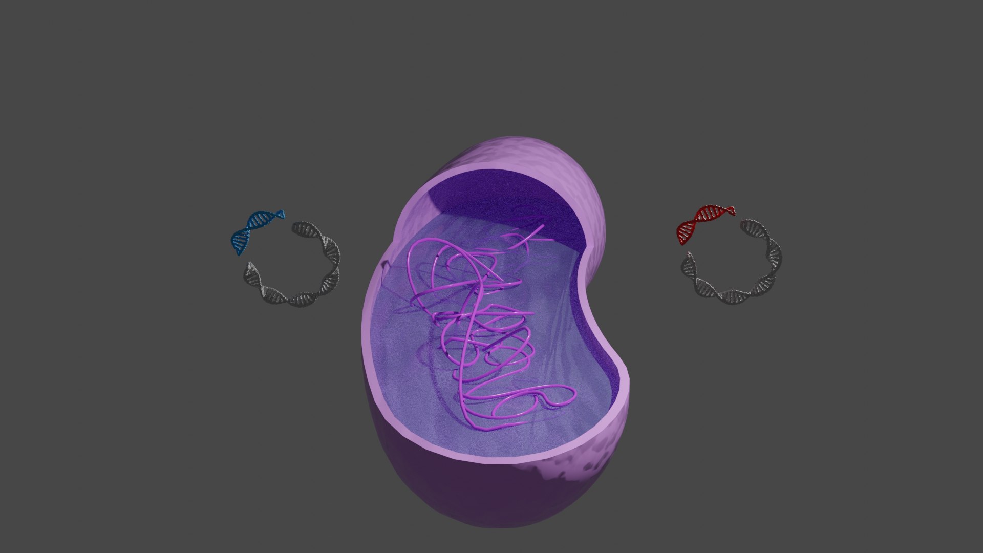 Engineered E Coli Bacteria 3D Model - TurboSquid 2386482