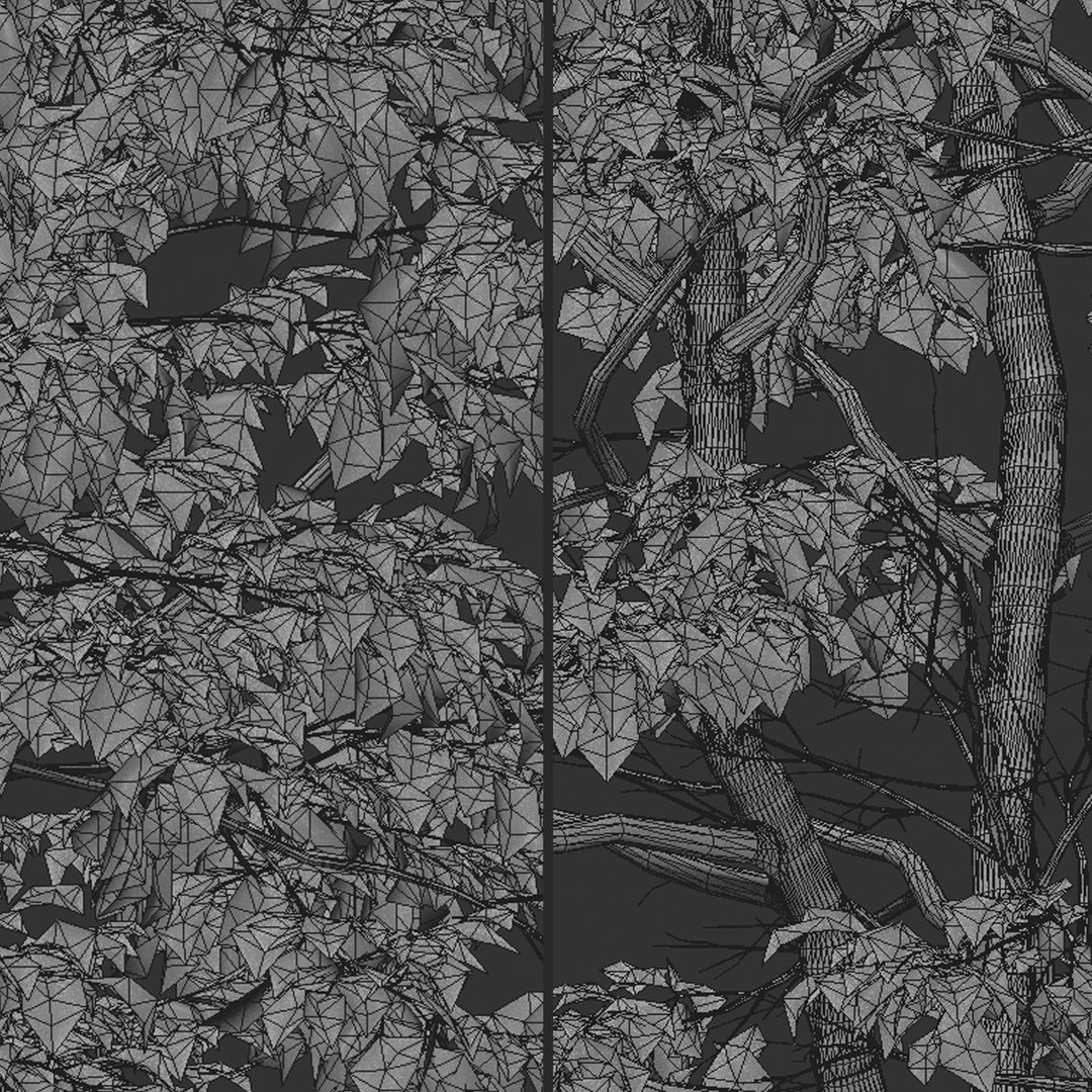 3D Model Set Of Snakebark Maple Or Acer Davidii Trees - 2 Trees ...