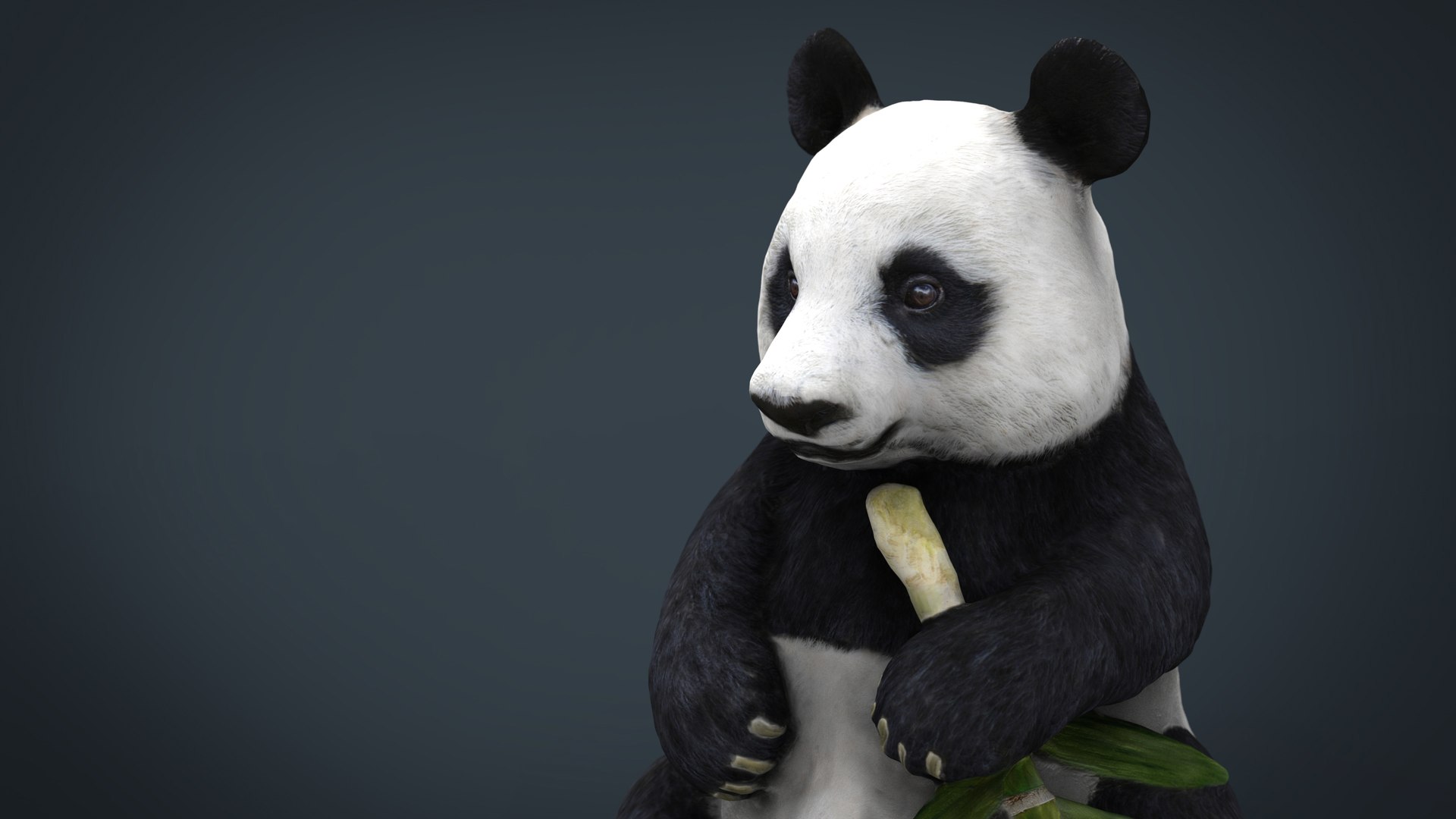 Panda 3d Model