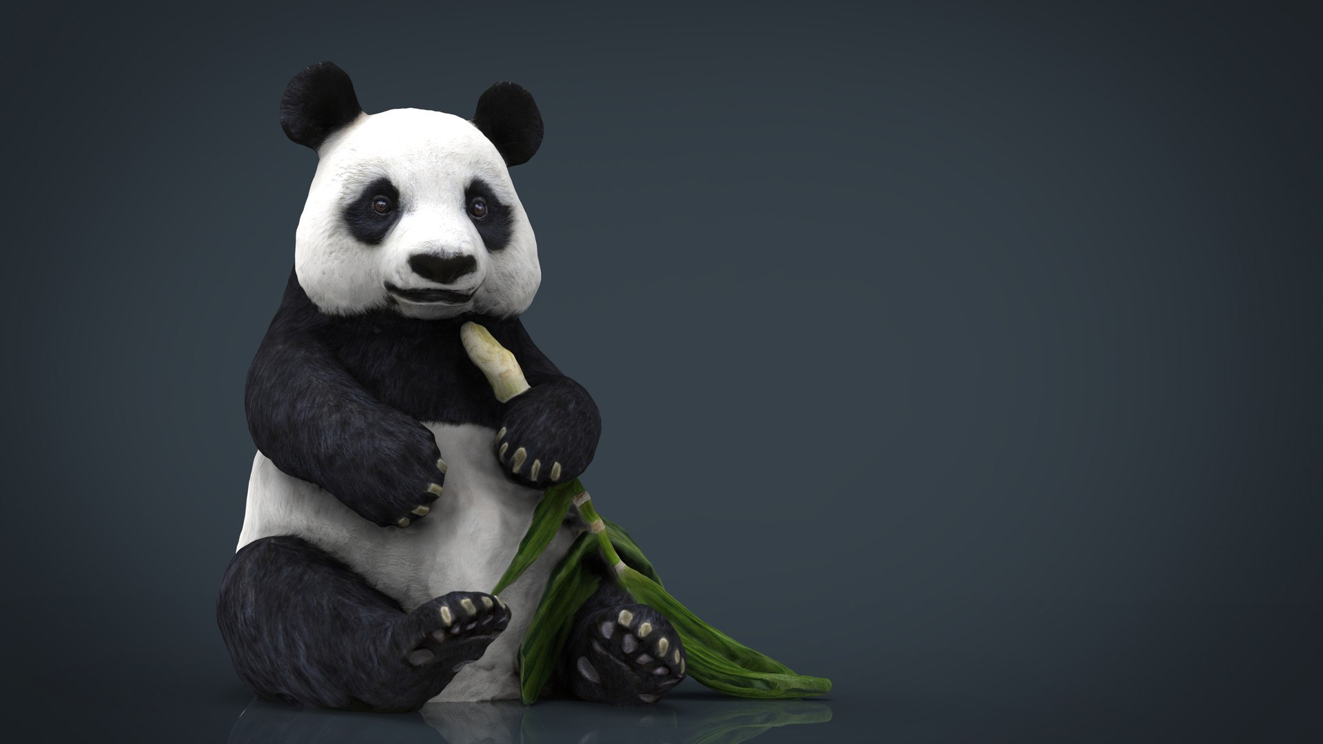 Panda 3d Model