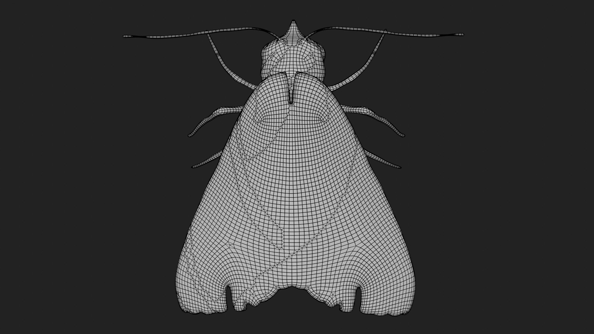 Fully Rigged Low Poly Moth 3D Model - TurboSquid 1761622