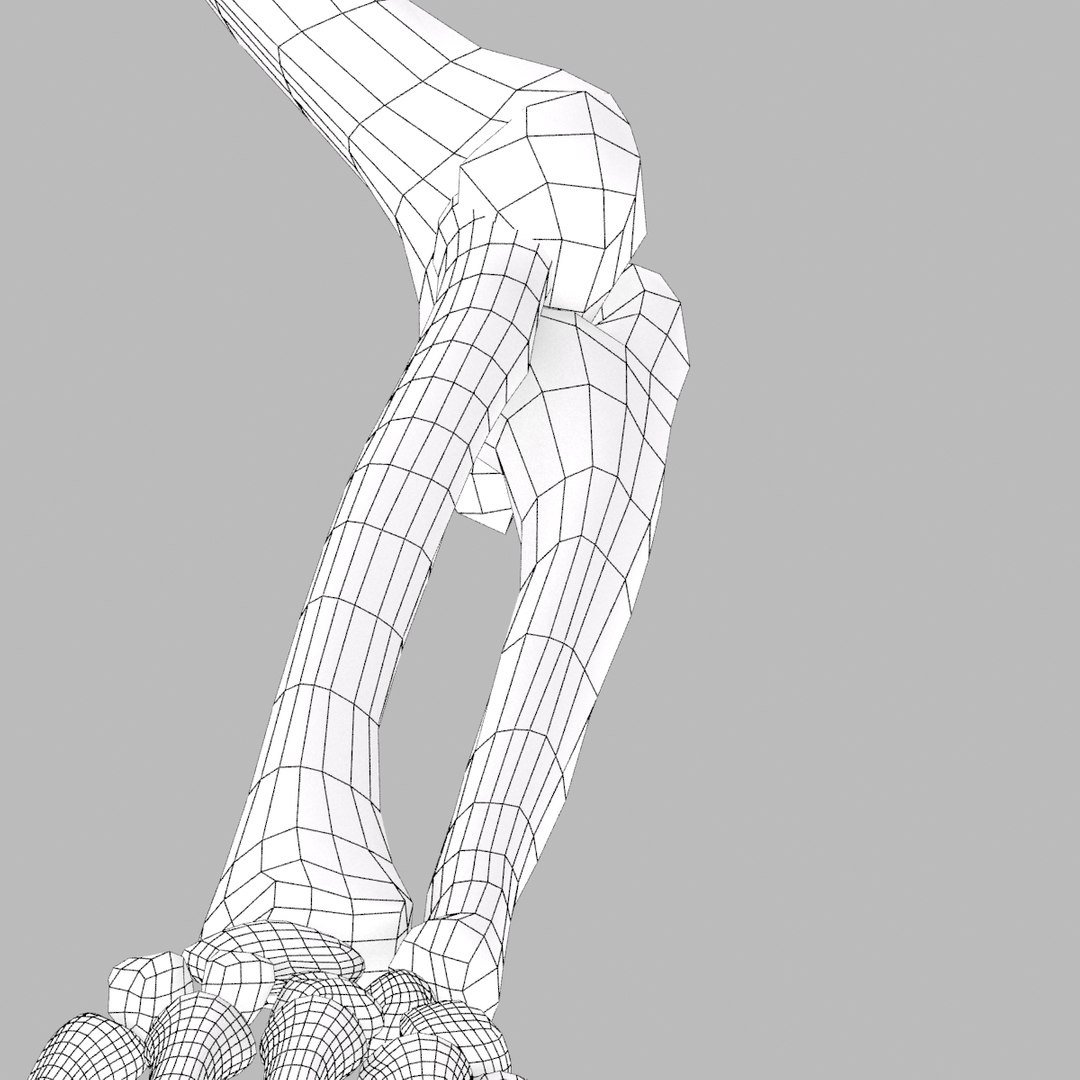 3d Arm Skeletal