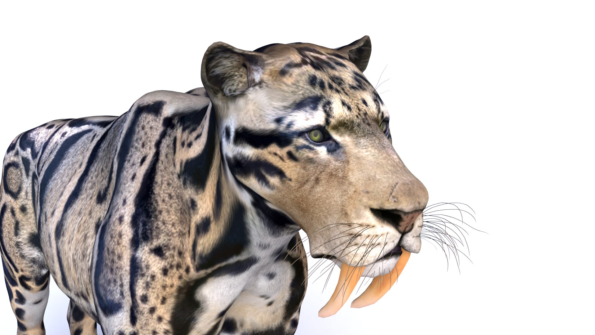 3D Smilodon - TurboSquid 2217754