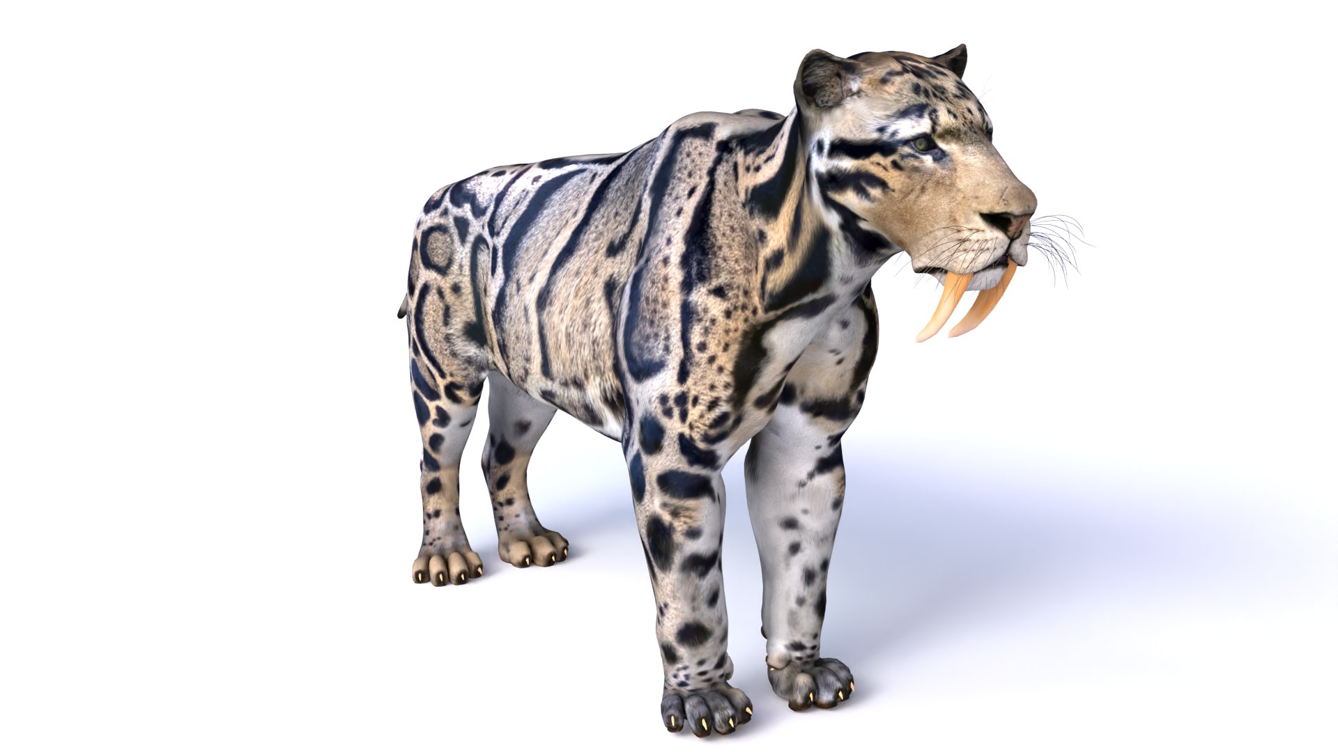 3D Smilodon - TurboSquid 2217754
