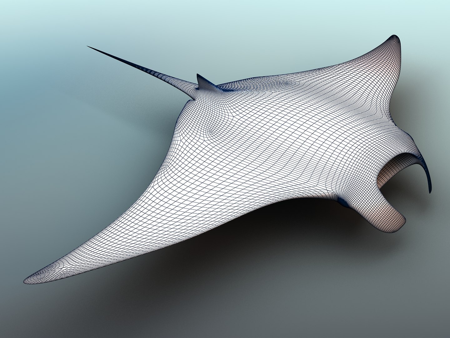 3d Manta Rays
