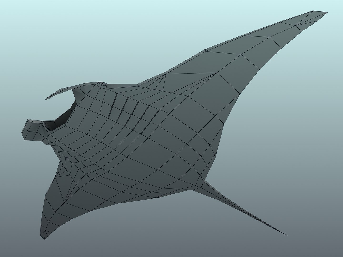 3d Manta Rays