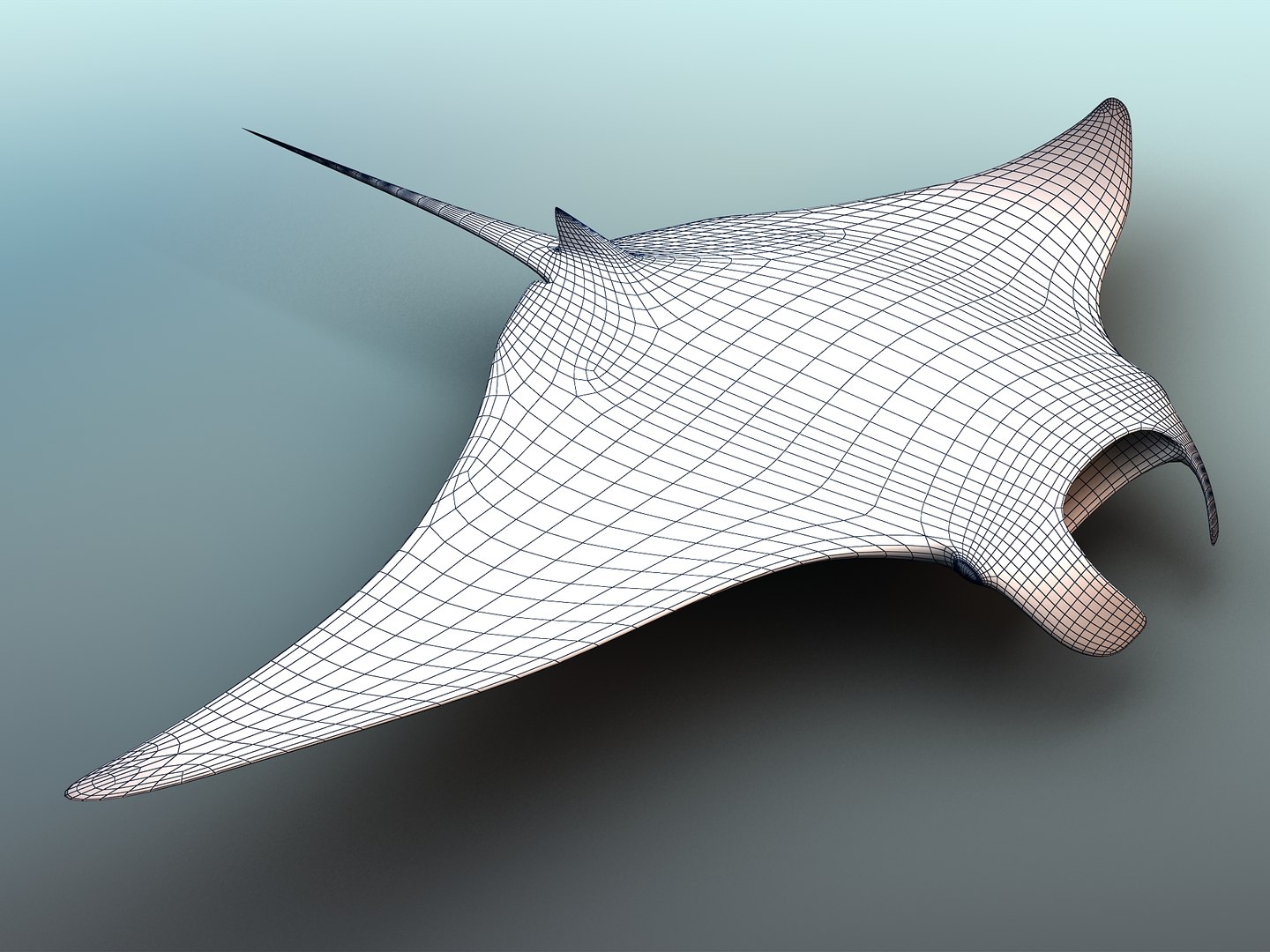 3d Manta Rays