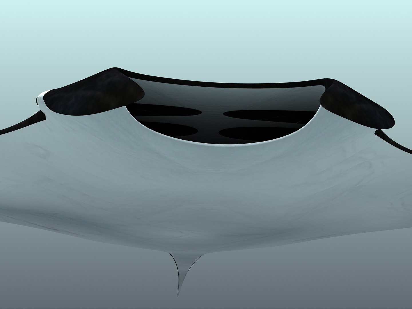 3d Manta Rays
