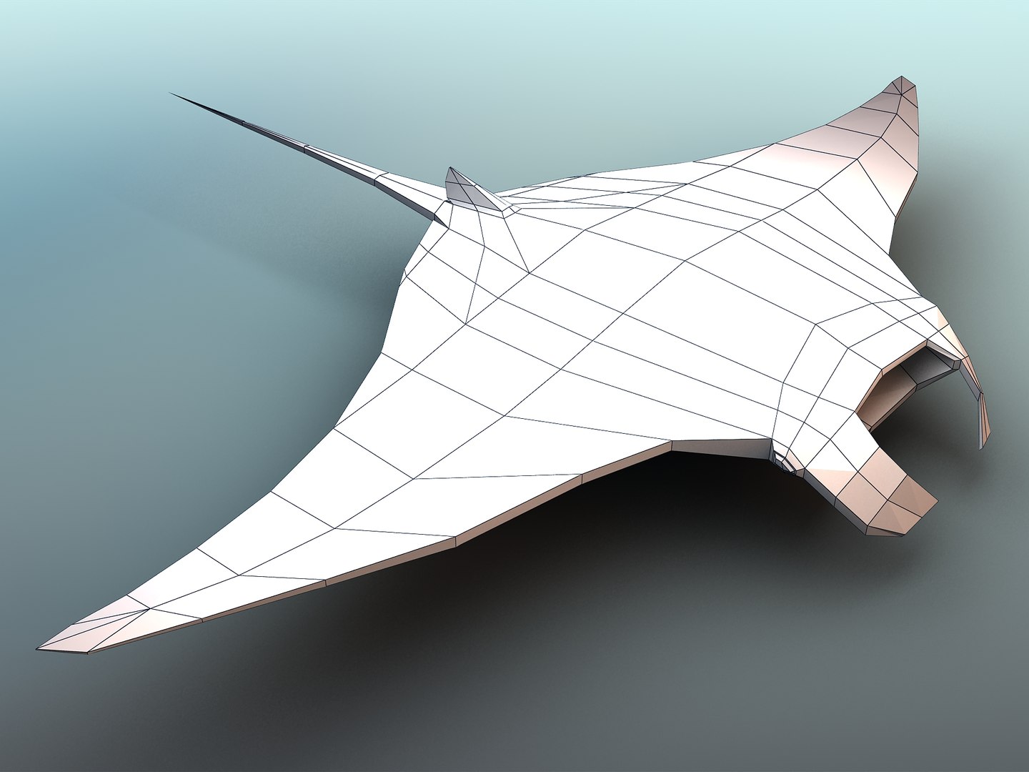 3d Manta Rays