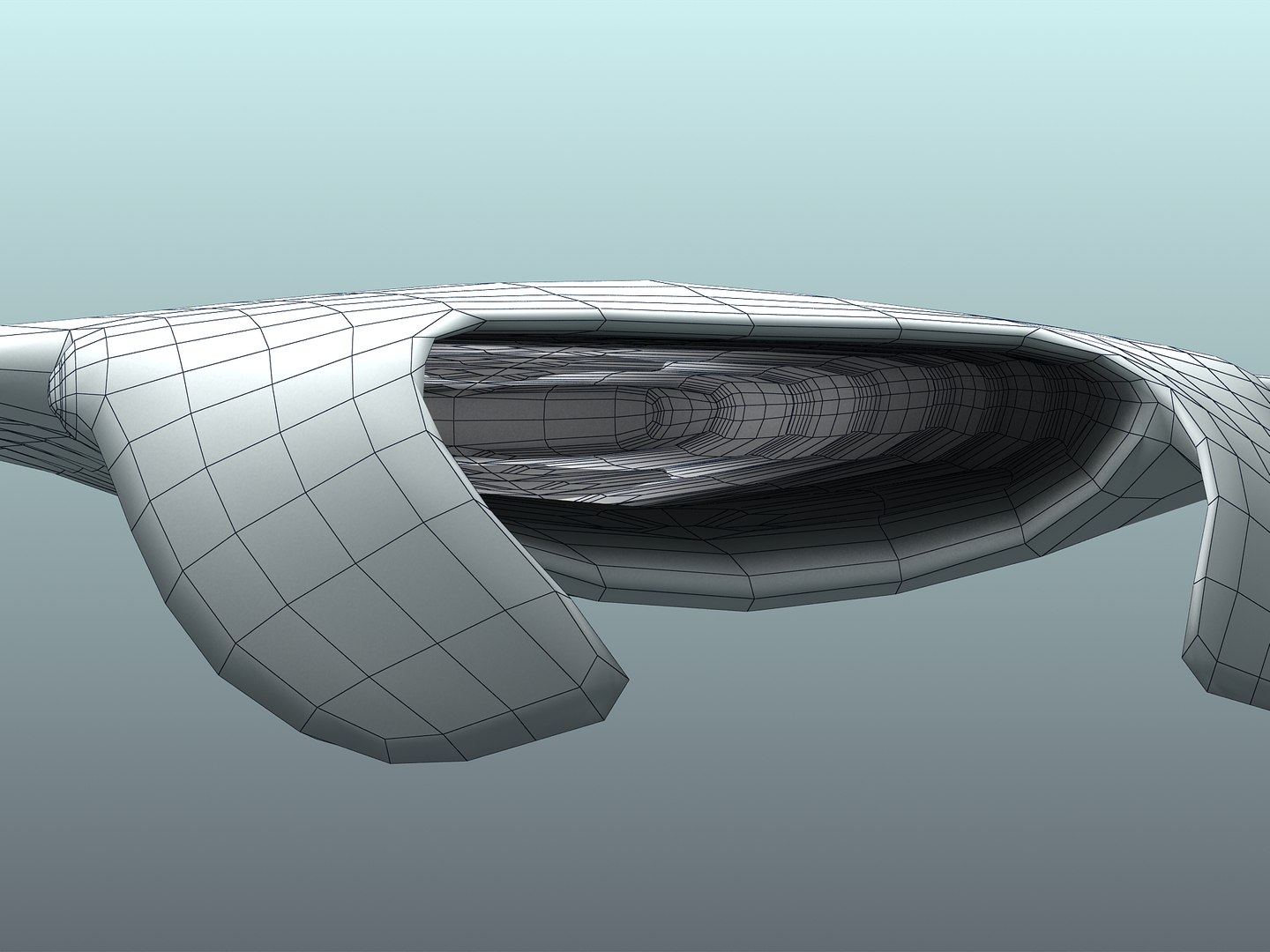 3d Manta Rays