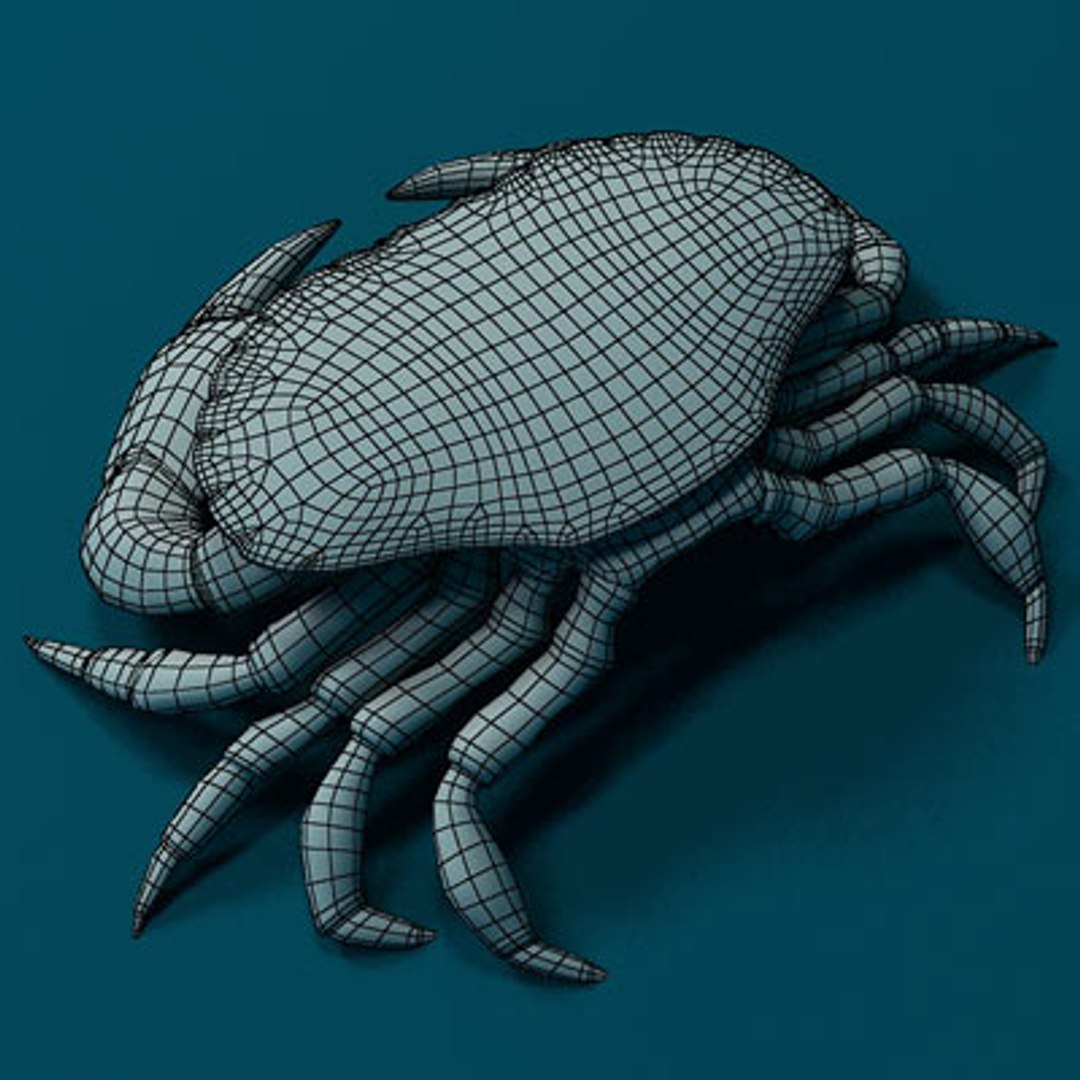 3d Crab Sea Model