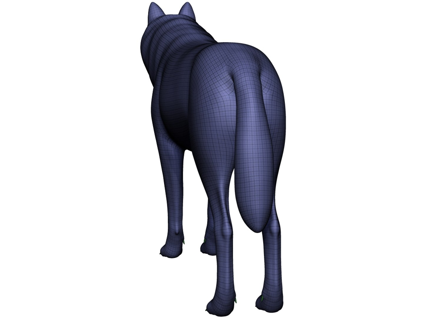 Wolf Basemesh Sculpting 3D Model - TurboSquid 1149161