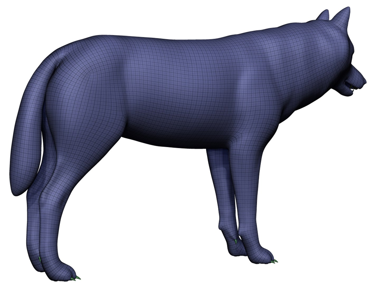 Wolf Basemesh Sculpting 3D Model - TurboSquid 1149161
