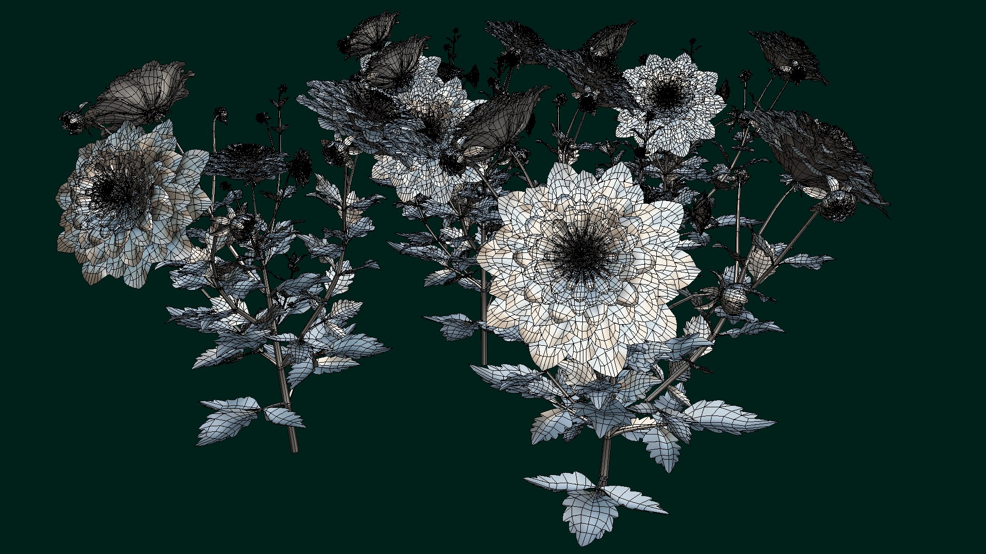 Flower Mexico 3D Model - TurboSquid 2133119