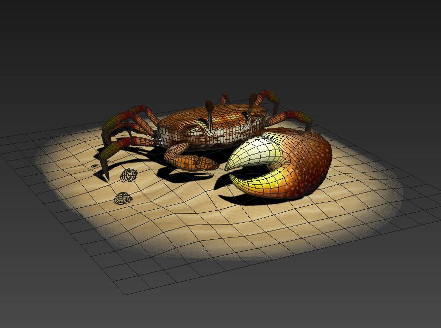 Fiddler Crabs Hai River 3D Model - TurboSquid 1581699
