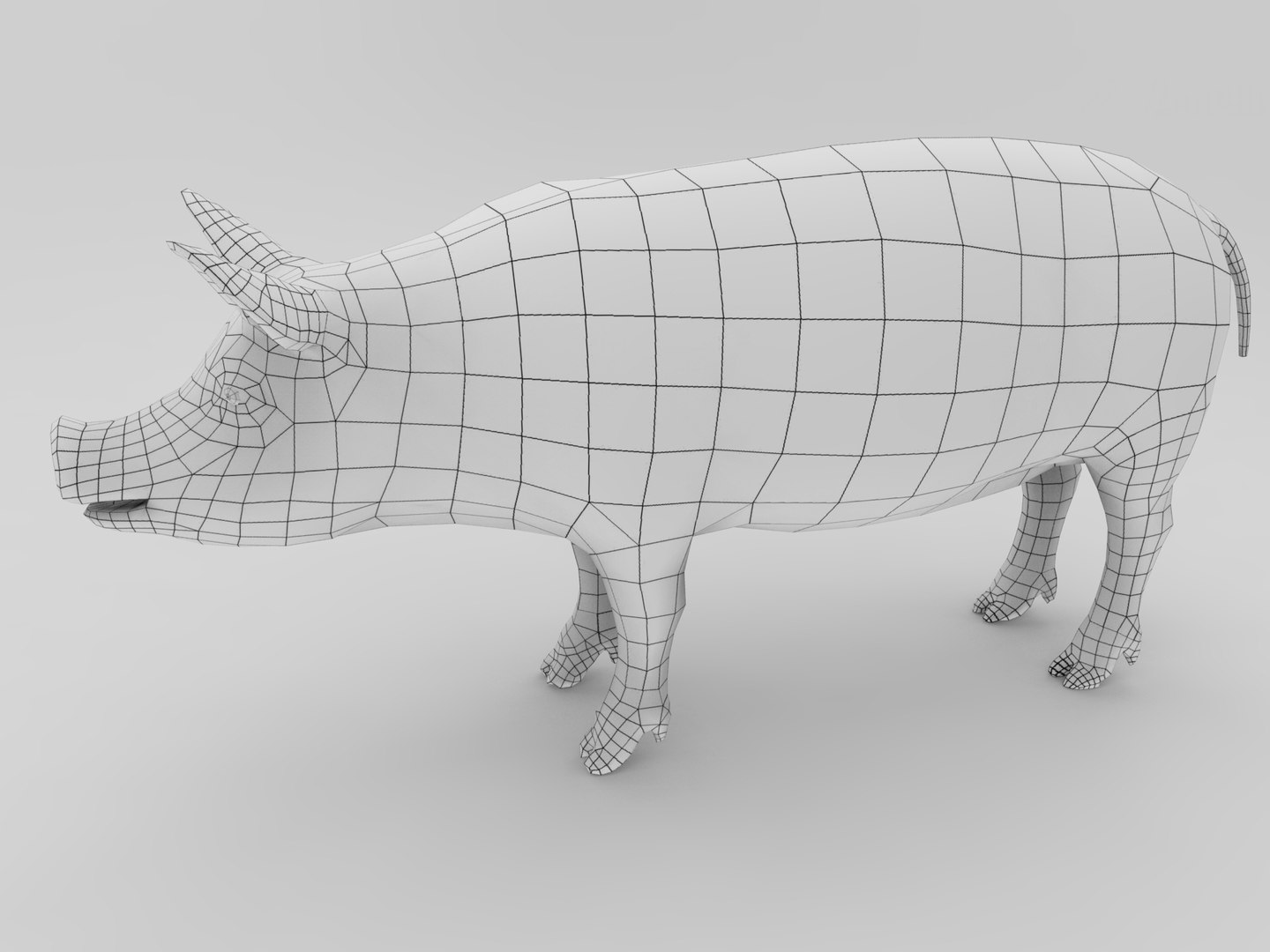 pig rigged 3d max