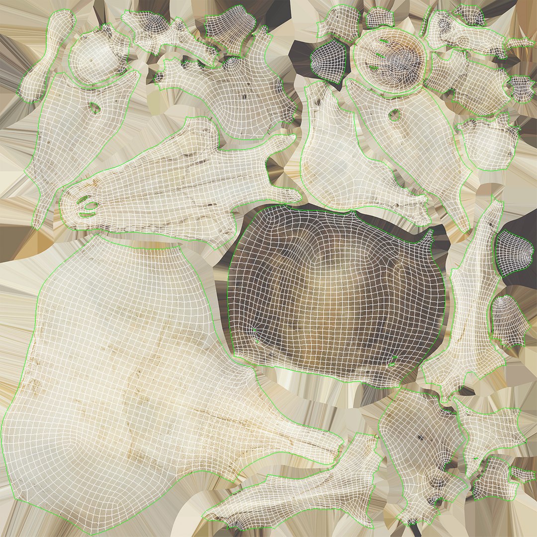 3D South American Coati Skull 01 model - TurboSquid 2156912