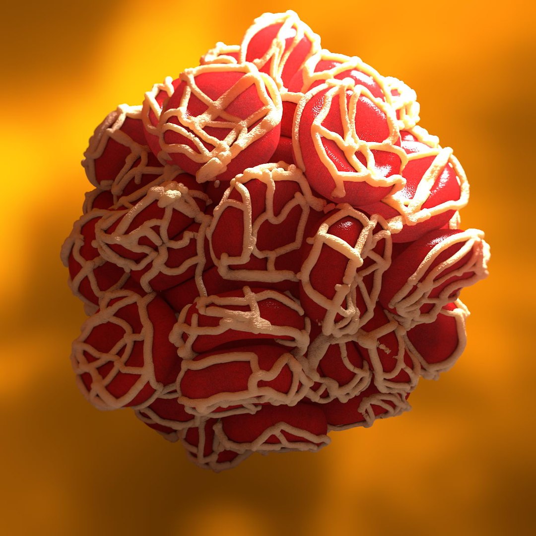 3d model clotted coagulated