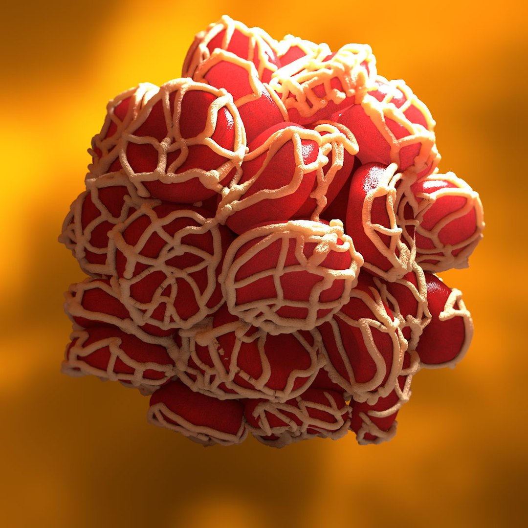 3d model clotted coagulated